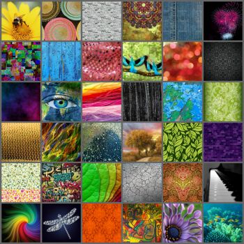 Solve Splash of Color! (XL) jigsaw puzzle online with 400 pieces