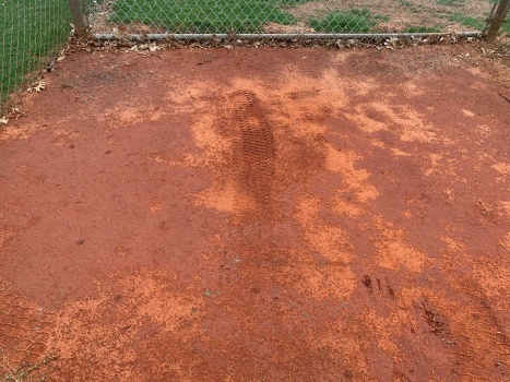 Solve georgia orange clay? jigsaw puzzle online with 88 pieces