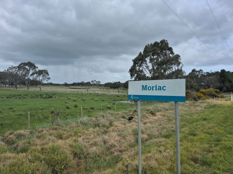 Solve Moriac jigsaw puzzle online with 88 pieces