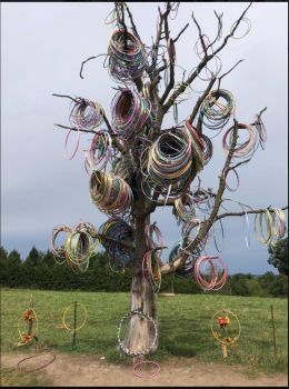 Solve The elusive hula-hoop tree in flower, found in Amber, Iowa ...